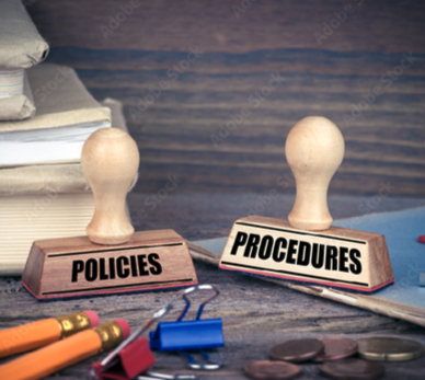 Import/Export Policy, Procedure, and Process Audits - Braumiller ...