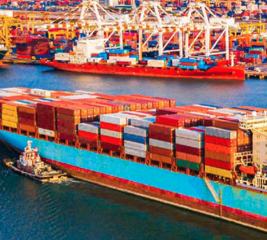 Customs Binding Ruling Submissions - Braumiller Consulting Group