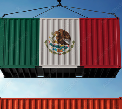 Mexican Trade Law - Braumiller Consulting Group